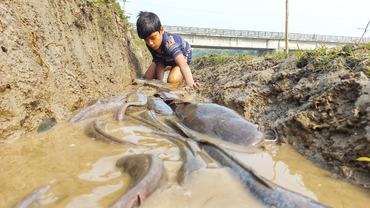 Unbelievable Drain Fishing By hand! A Clever Boy Catching Unique Fish ...