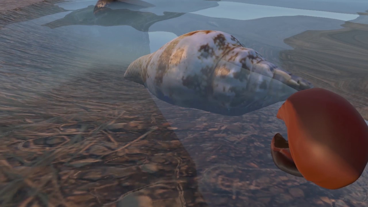 SeaShell Scuttle (Oculus Touch VR) - Official Trailer - YouTube