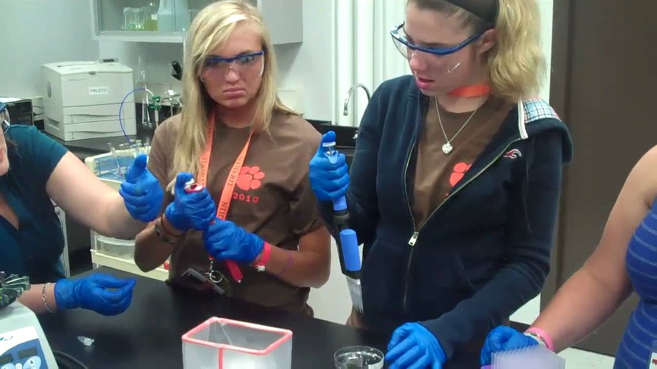 Explore Your Future 2010 EYF at RIT/NTID - YouTube