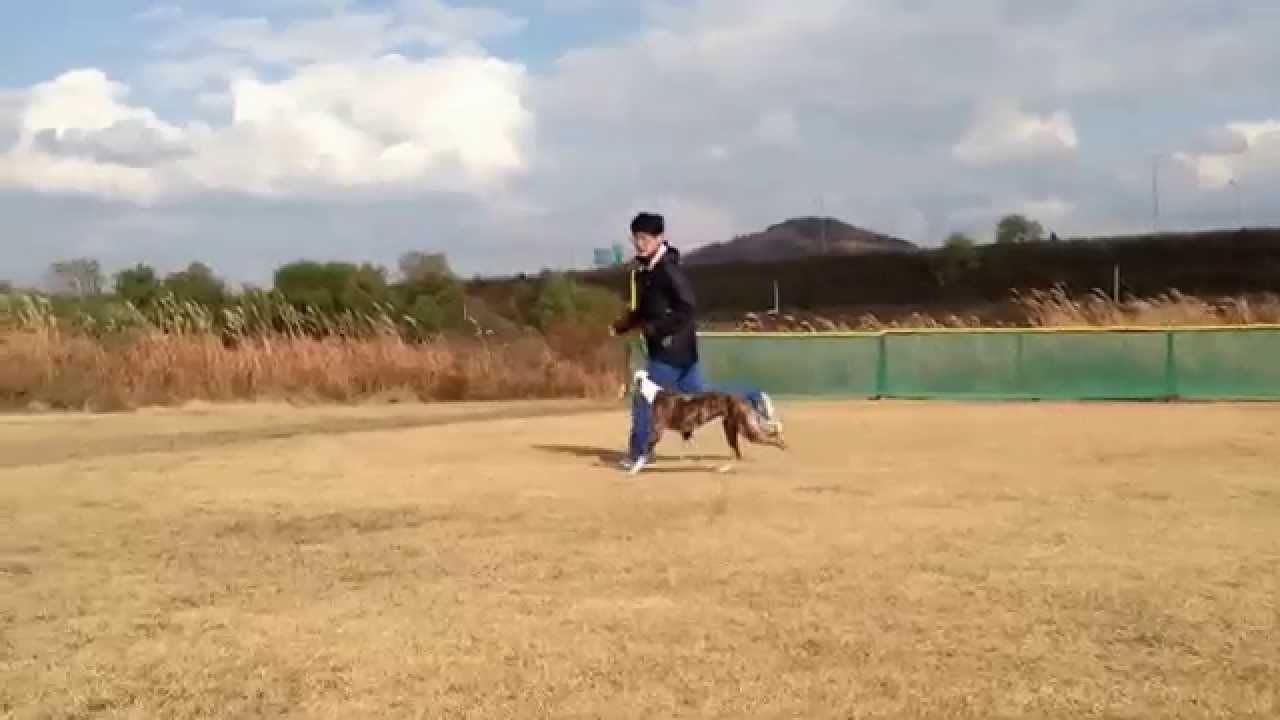 Danny side movement - YouTube