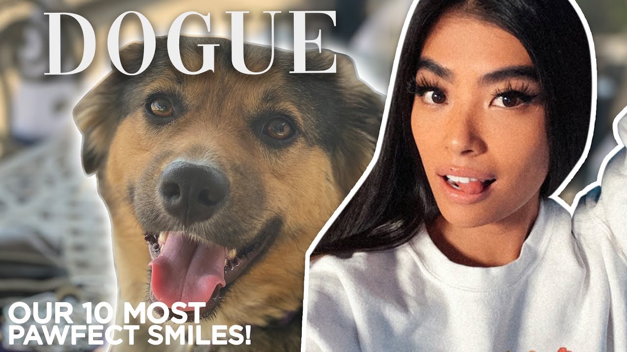 REVIEWING YOUR CUTEST (and not so cute) PETS!! - YouTube