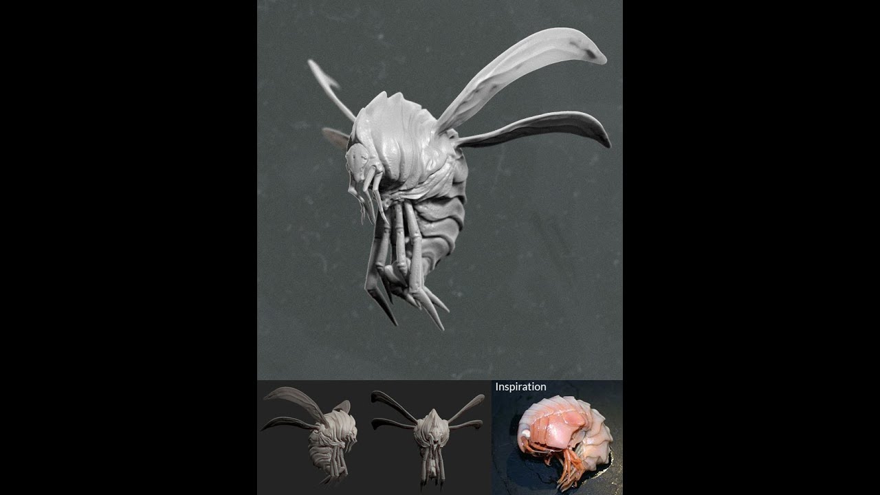 Flying Crustacean - YouTube