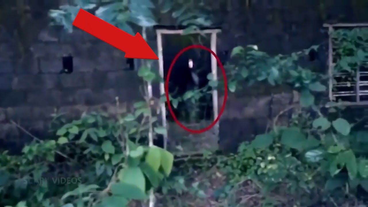 Demons Caught On Camera 👻 ghost caught on camera compilation - YouTube