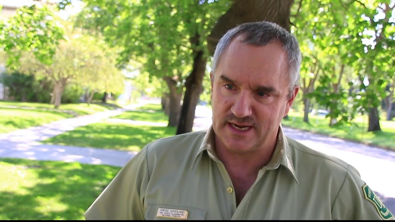 USFS using new process to lessen smoke impacts from Idaho burns - YouTube