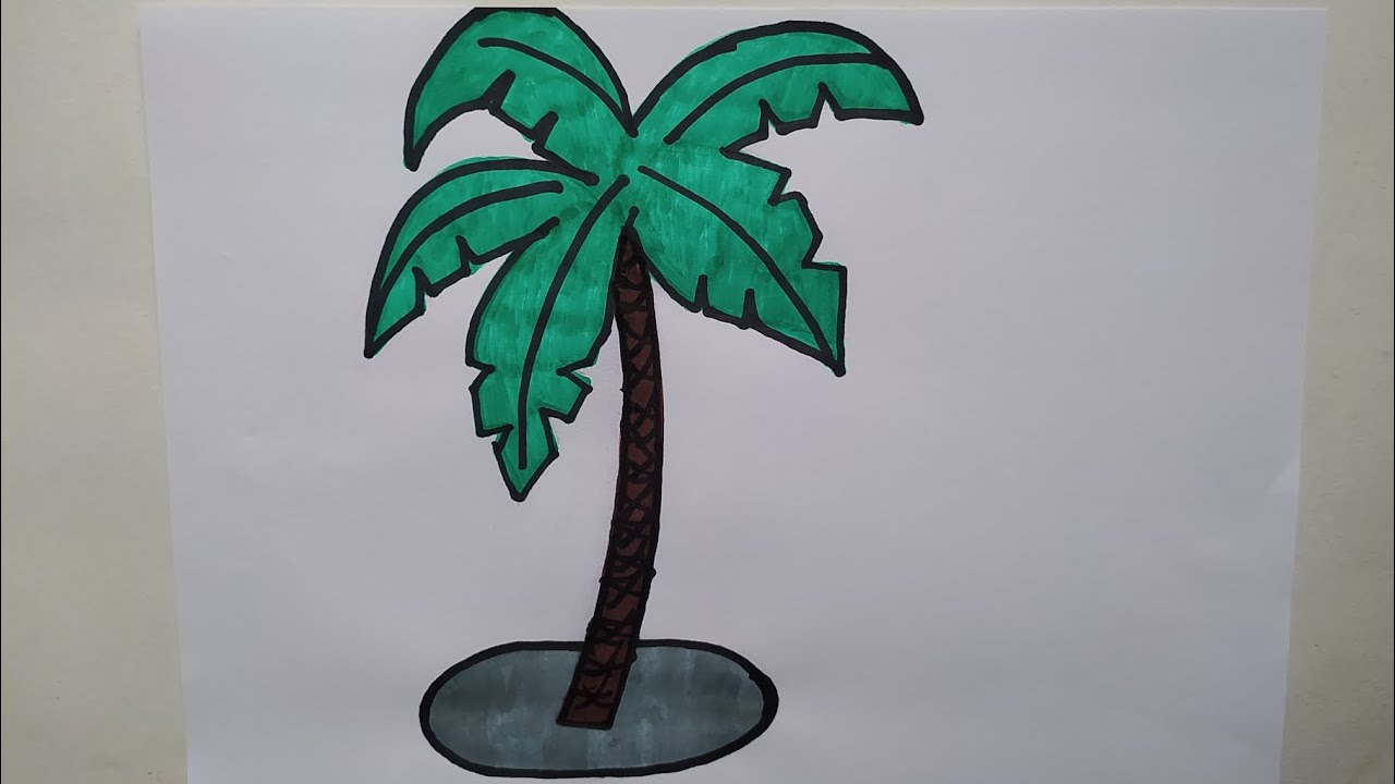 Rəsm - Palma Ağacı Necə Çəkilir - How to Draw Palm - YouTube