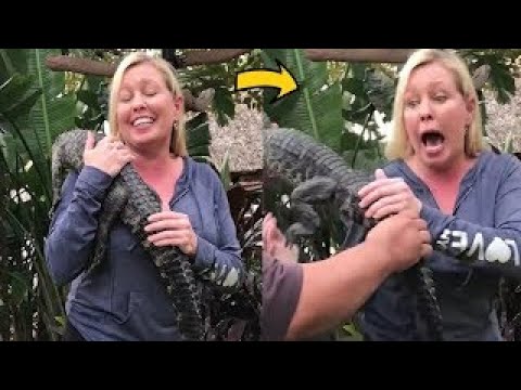 Instant Regret #50 - Fails Of The Week | Razy Clips 2023 - YouTube