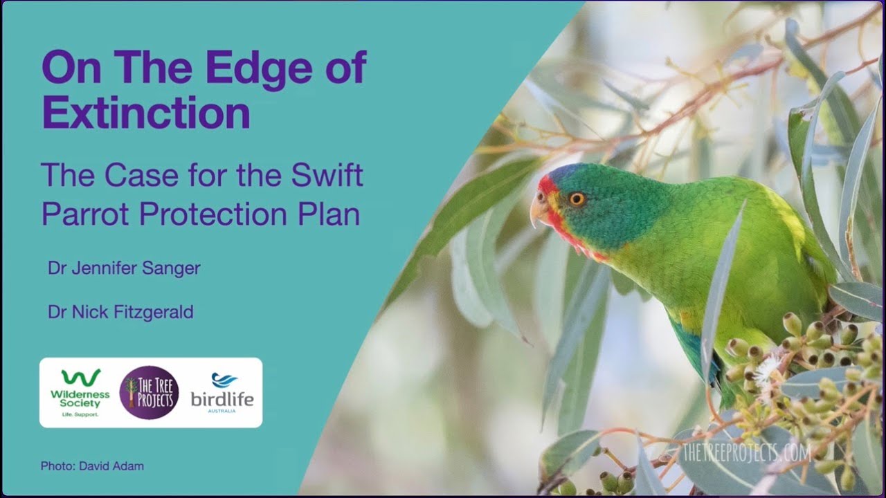 On the Edge of Extinction: The Case for the Swift Parrot Protection ...