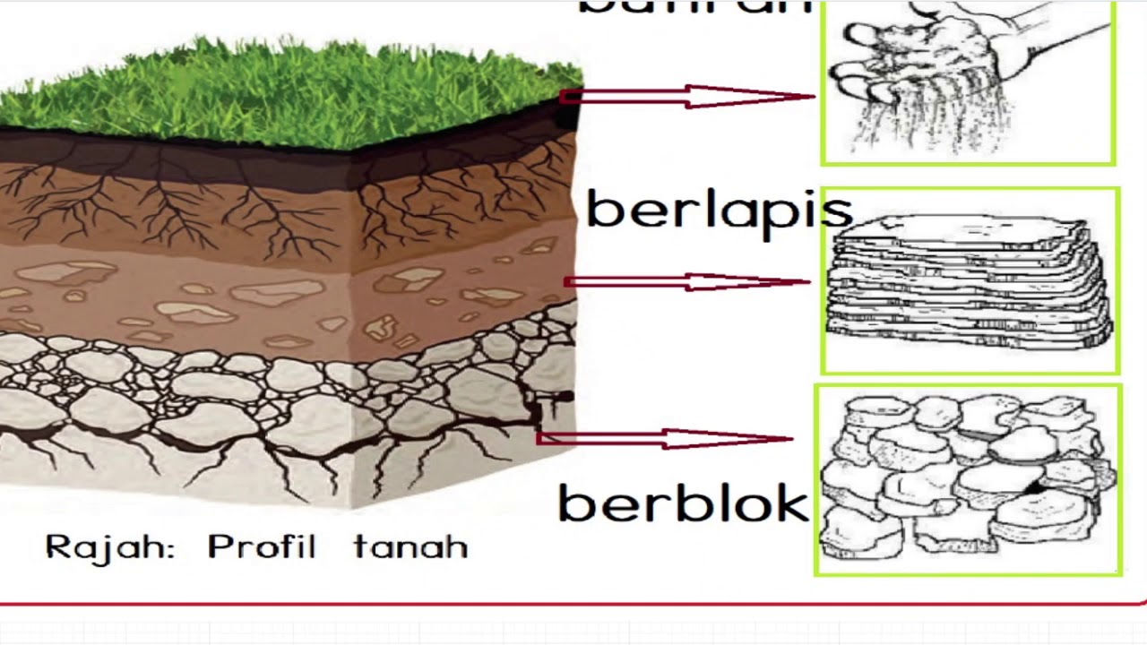 Profil Tanah