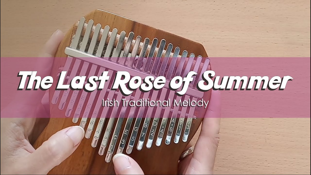 The Last Rose of Summer (Irish Traditional Melody) | Kalimba Cover With ...
