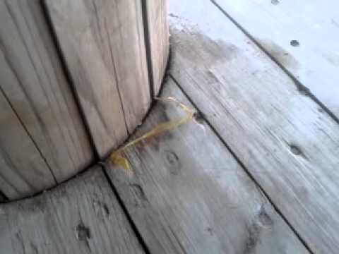 Los Esquilines.mp4 - YouTube