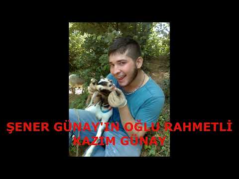 ŞENER GÜNAY ANISINA