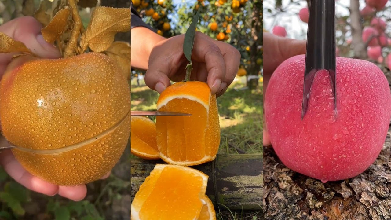 😍Farm Fresh Ninja Fruit - Tik Tok China - Fruit Satisfying (Oddly ...