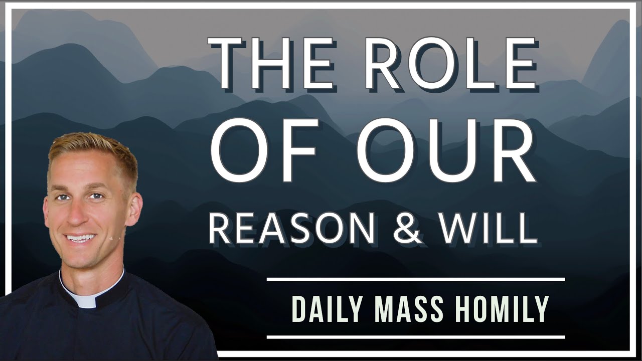 The Role of Our Reason and Will - YouTube