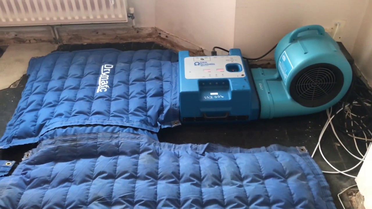 Water damage Structure drying - YouTube