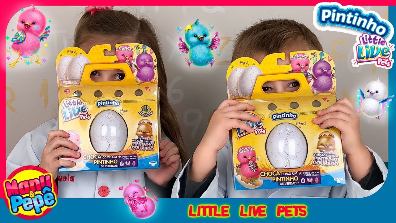 Pintinho Little Live Pets | Pretend Play with Little Bird - YouTube