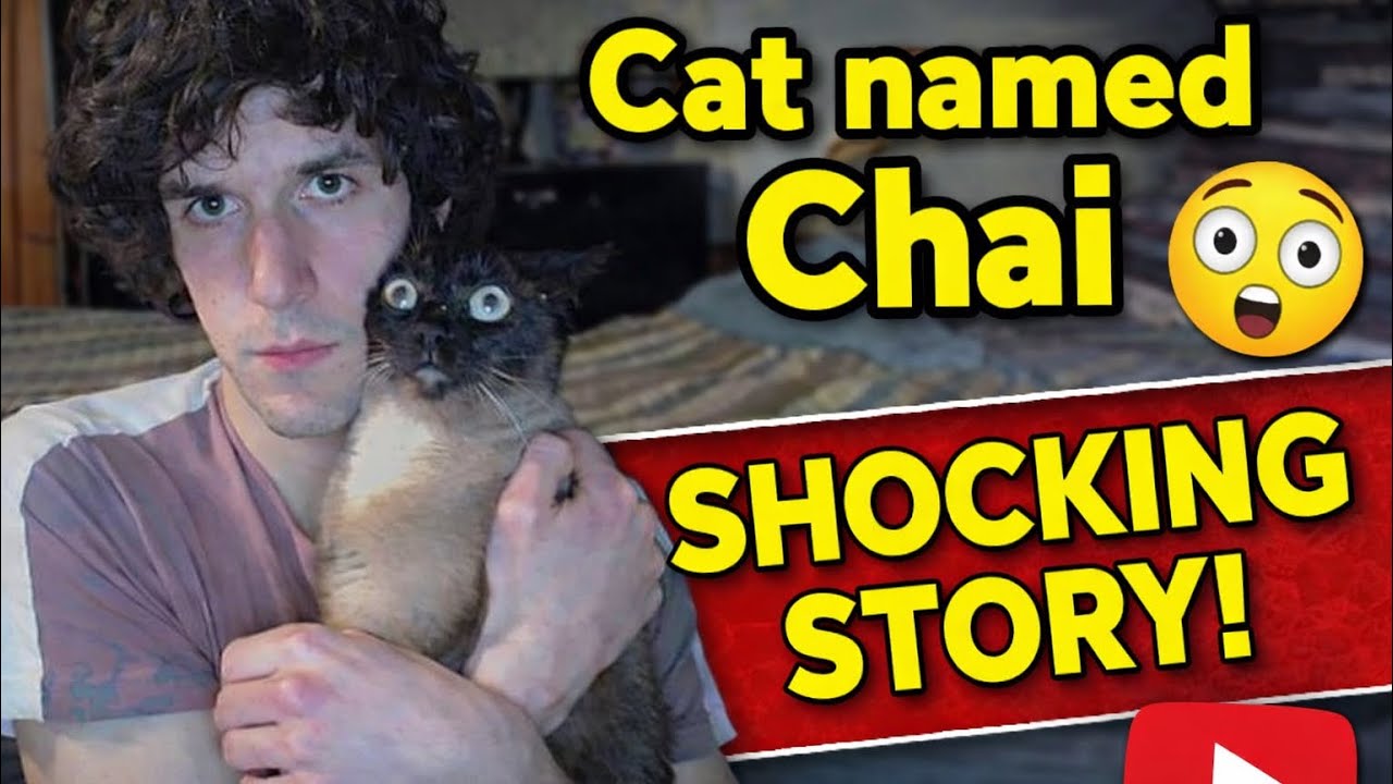 Cat named Chai Official Music Video - YouTube