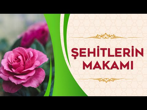MERTEBELERİNE İNANAMIYACAKSINIZ (CENNETLİK İNSANLAR)