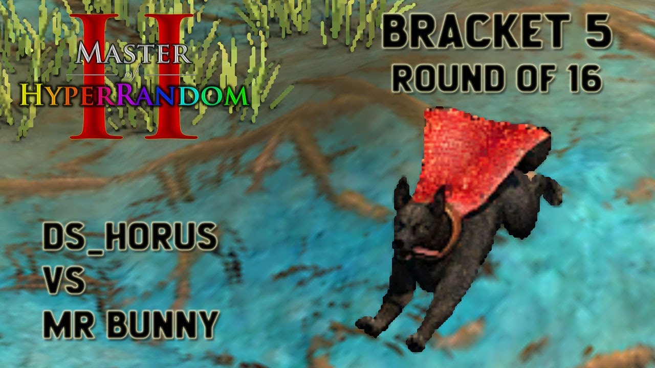 DS_Horus vs Mr. Bunny - Master of HyperRandom 2 (Bracket 5 - Round of 16) - YouTube
