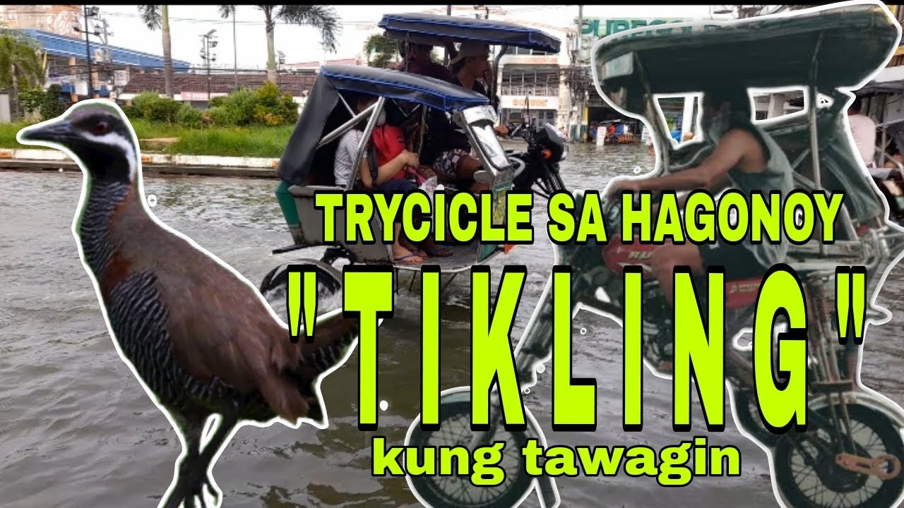 TRICYCLE sa HAGONOY "TIKLING" kung tawagin. - YouTube