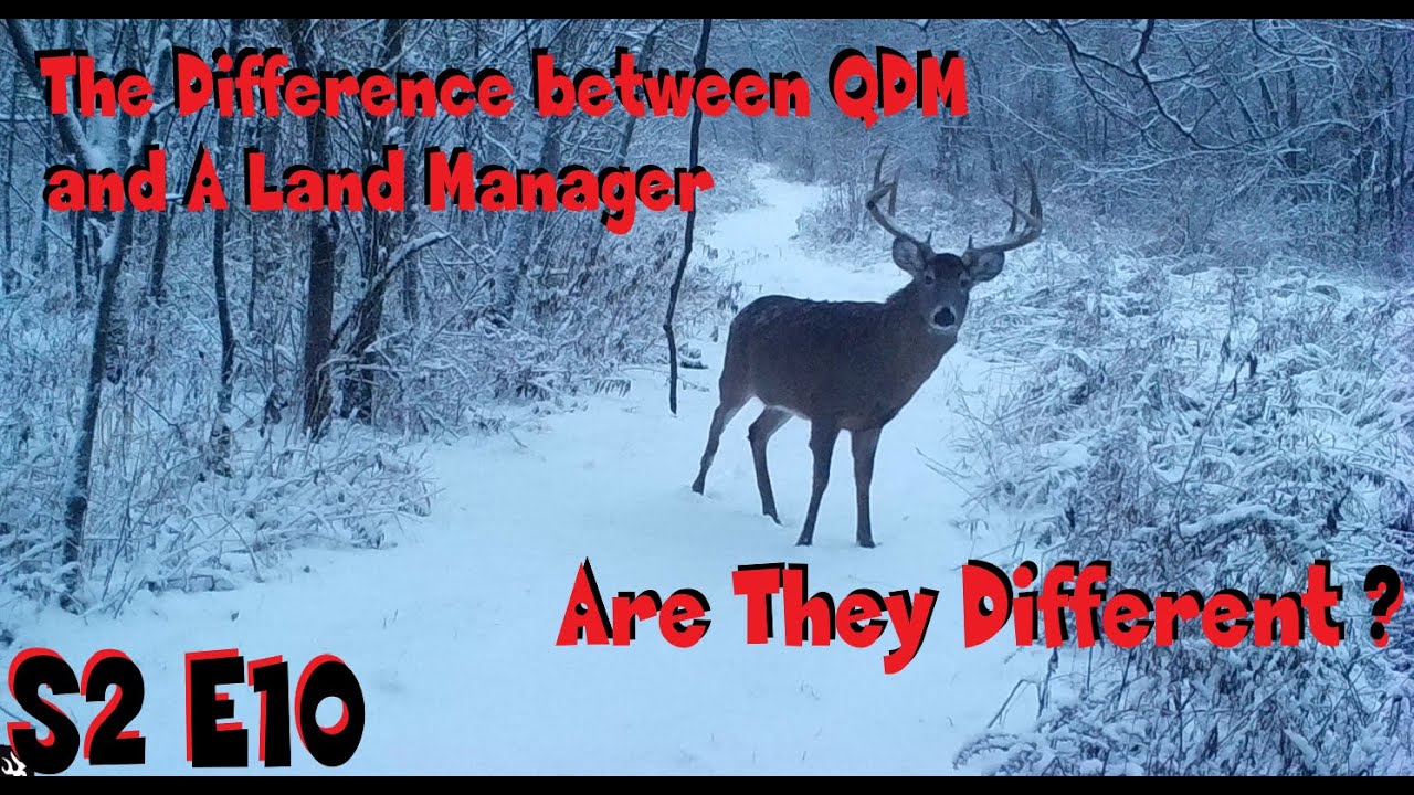 The difference between QDM, and property manager our view - YouTube