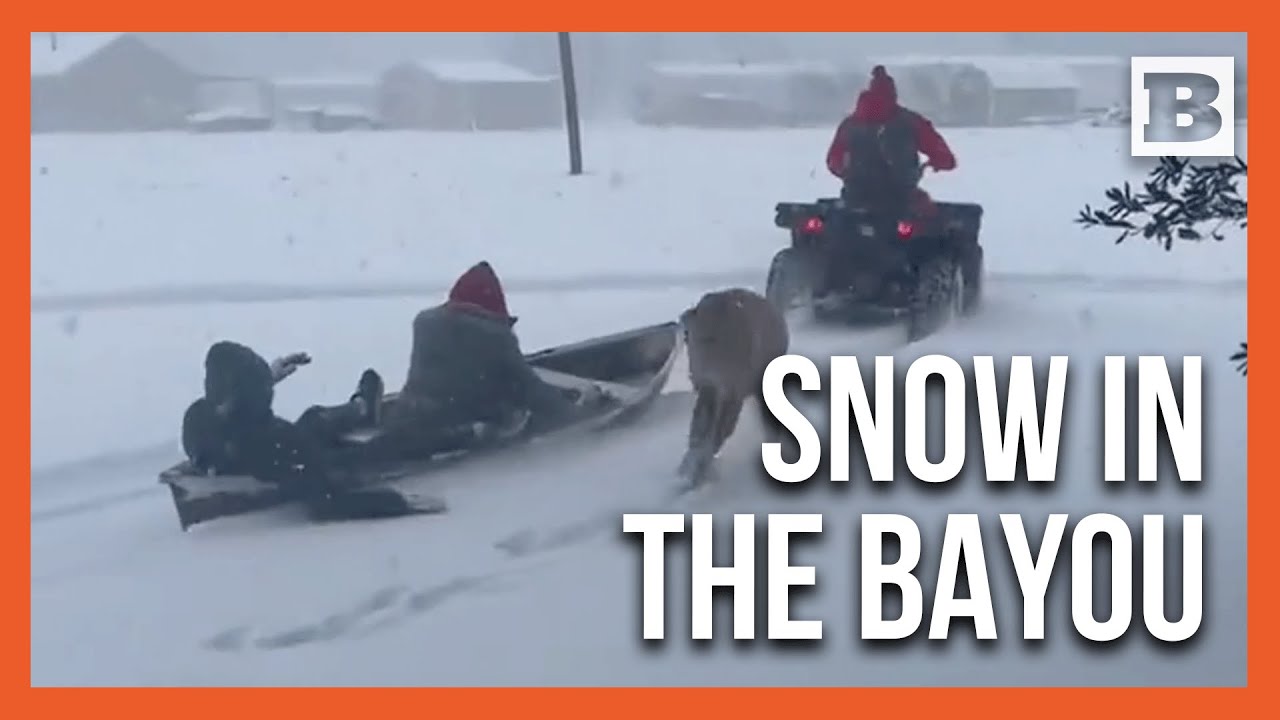 Swamp Meets Winter: Snow Storm Turns Bayou into Sledding Playground ...