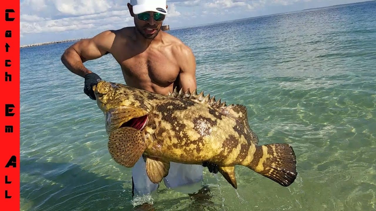 Walking my GIANT FISH between DOLPHINS! - YouTube