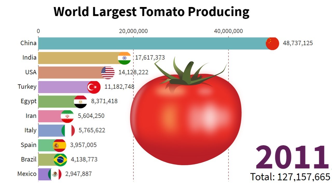 World Largest Tomato Producing - YouTube