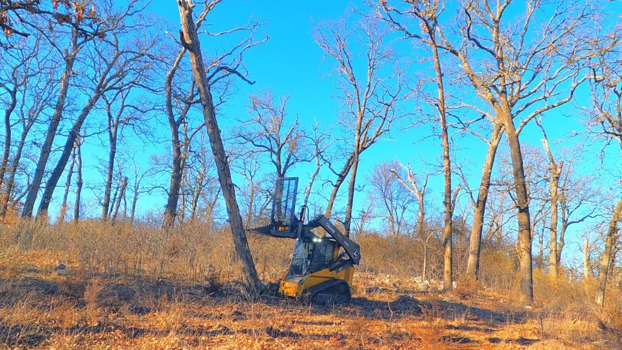 Knocking Down Standing Dead Trees with a Track Loader - YouTube