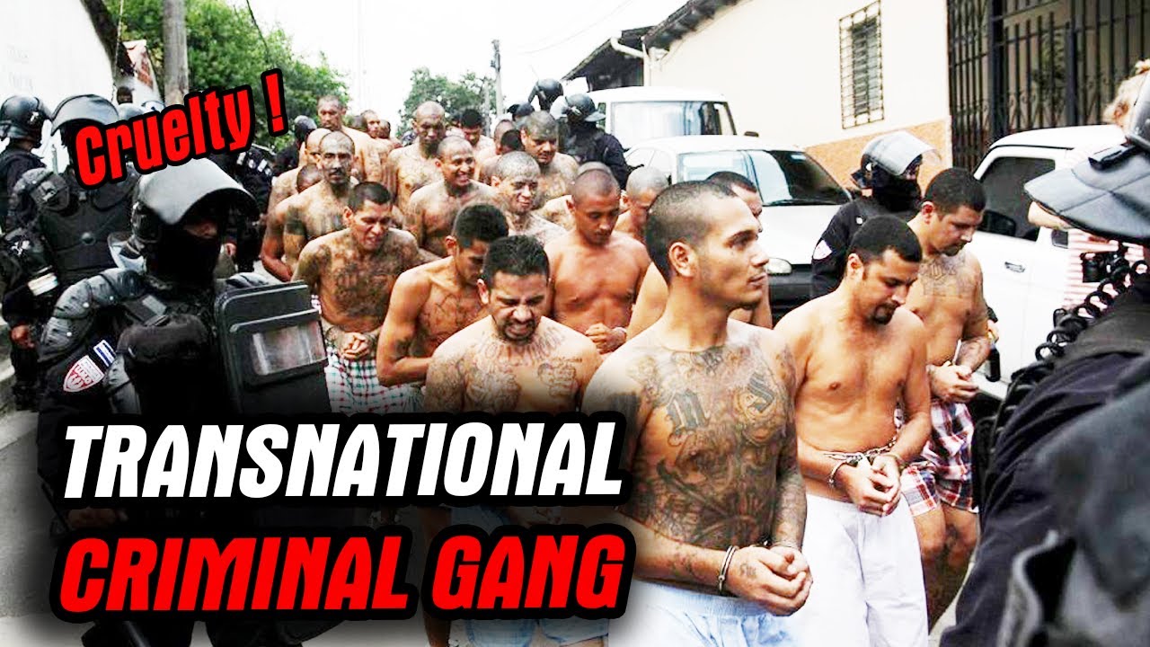 The MS-13 gang spreads terror throughout the United States | True Crime ...