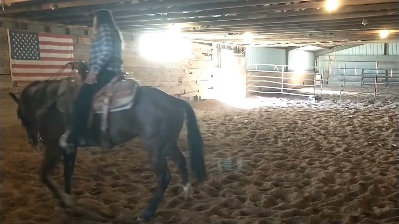 Sherri Bob riding horse - YouTube