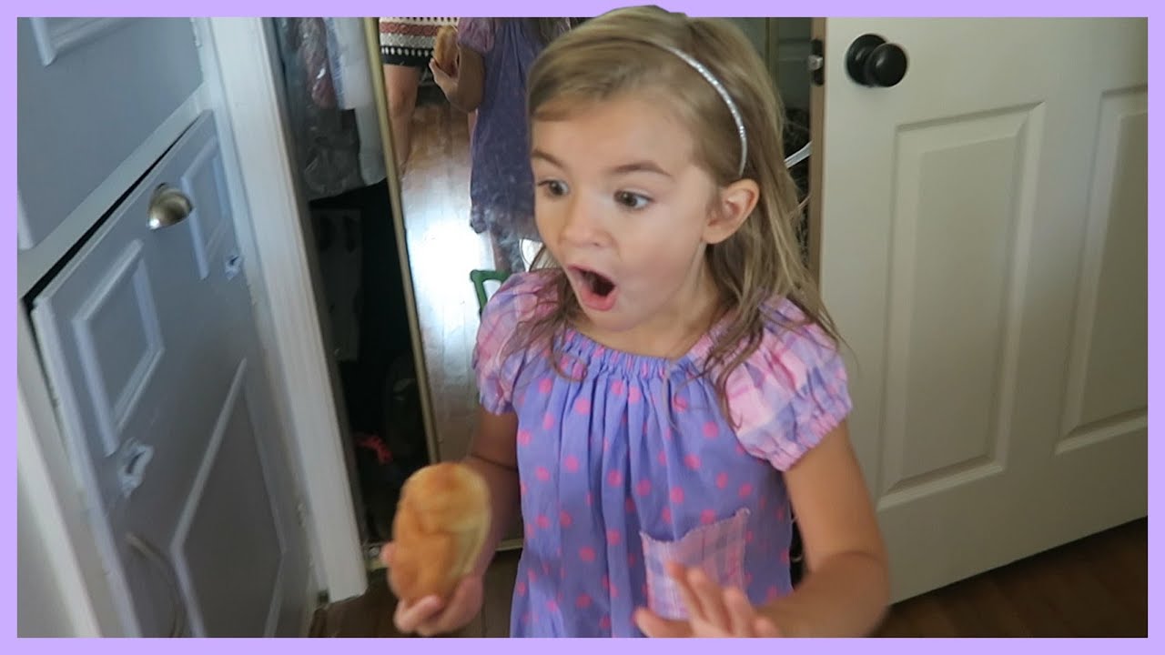 A SAM AND NIA REALITY TV SHOW!? | Sam & Nia - YouTube
