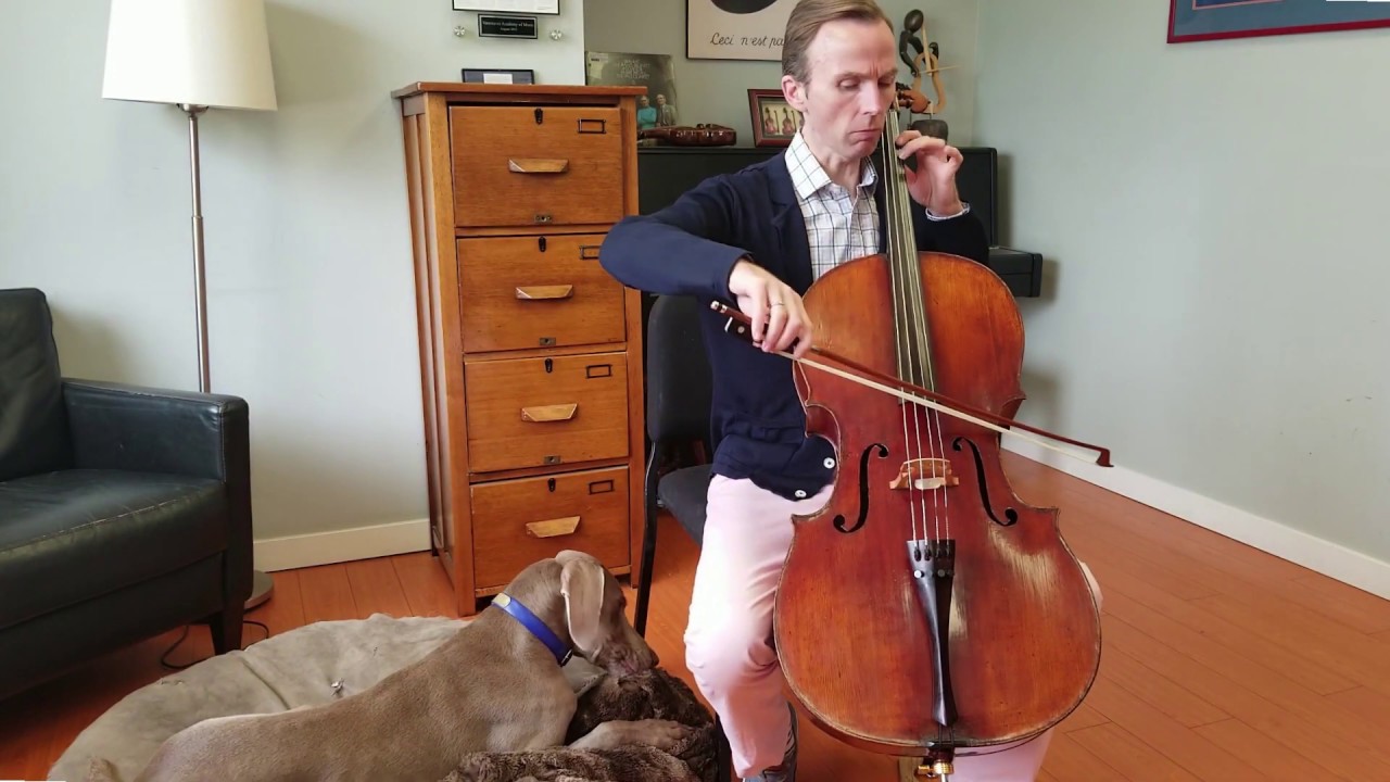 Fireside Performances - Joseph Elworthy - YouTube