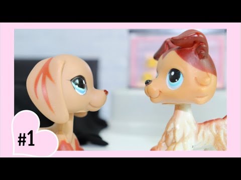 Lps (Series) : The Rebound | Ep.1 - YouTube