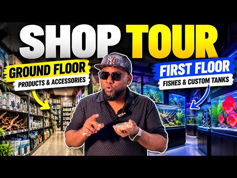 CHENNAI AQUARIUM SHOP TOUR | New Ground Floor + Custom Aquariums & Exotic Fish