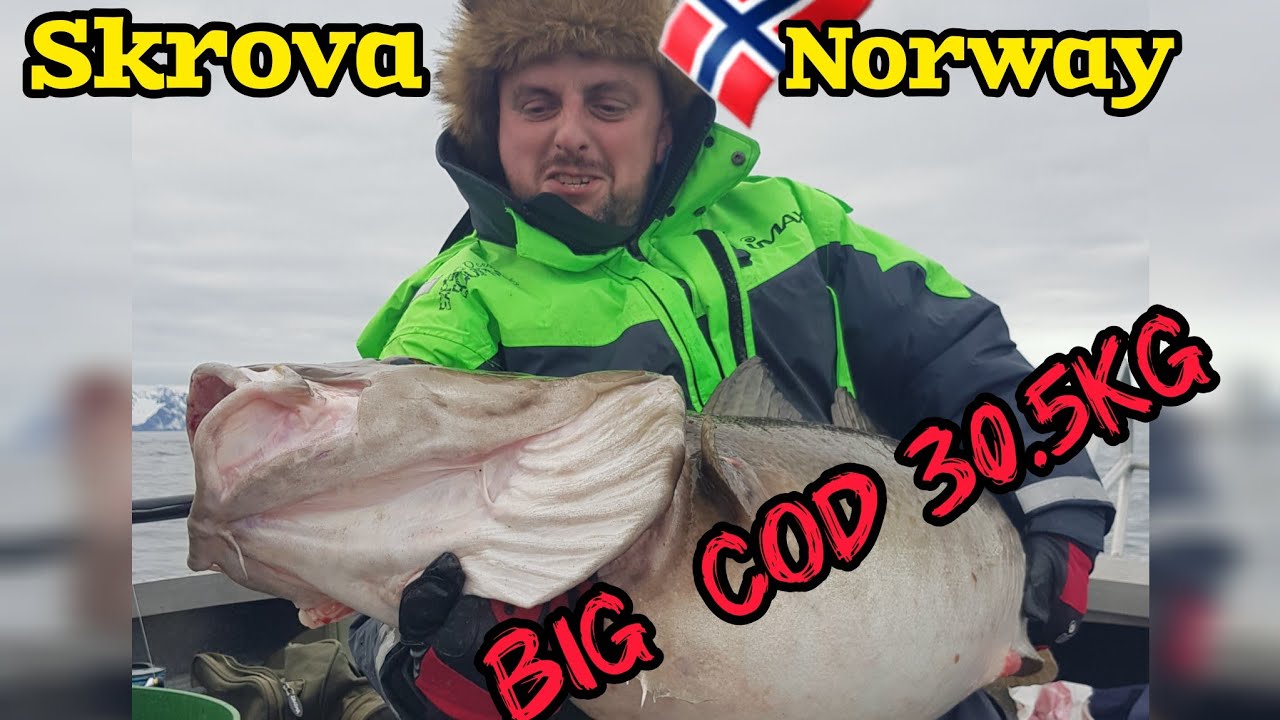 Norwegian Big Cods 🎣🎣🎣.Real Monster 30.5kg.Norway Fishing!!! - YouTube