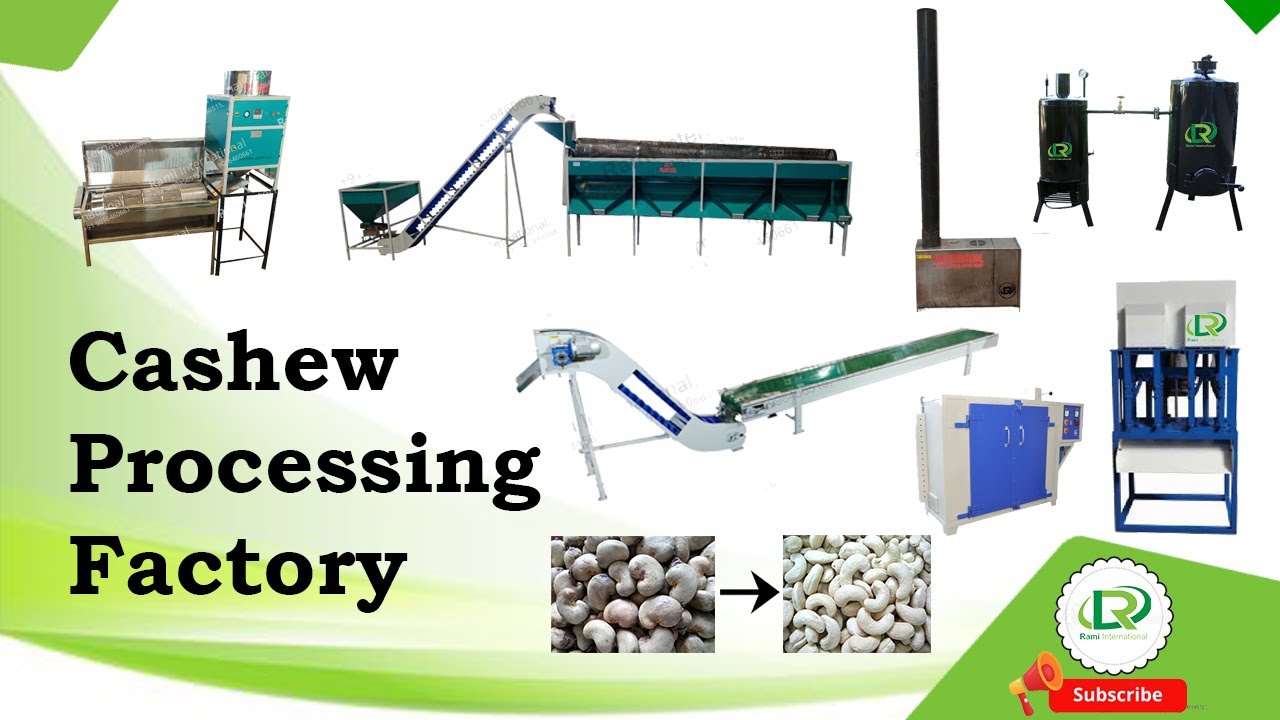 Cashew Processing Factory | Cashew Processing Unit | Fully Automatic ...