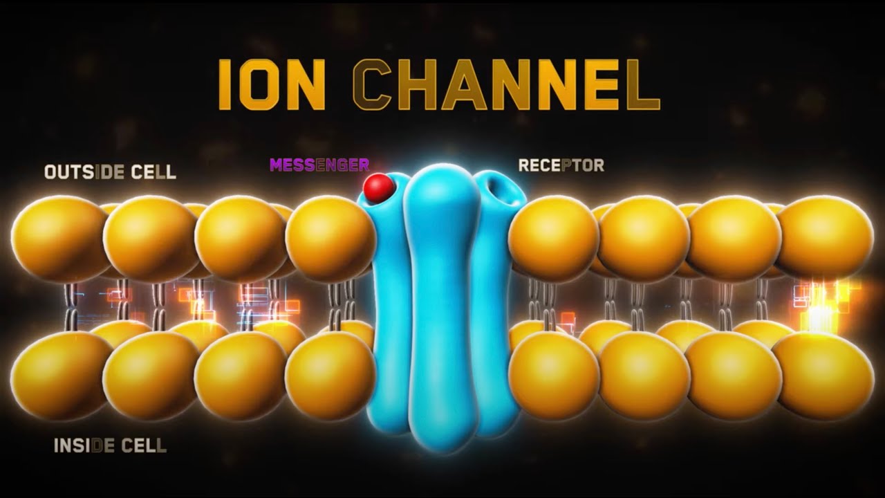 La ciencia del Super Patch por John Brenkus - YouTube