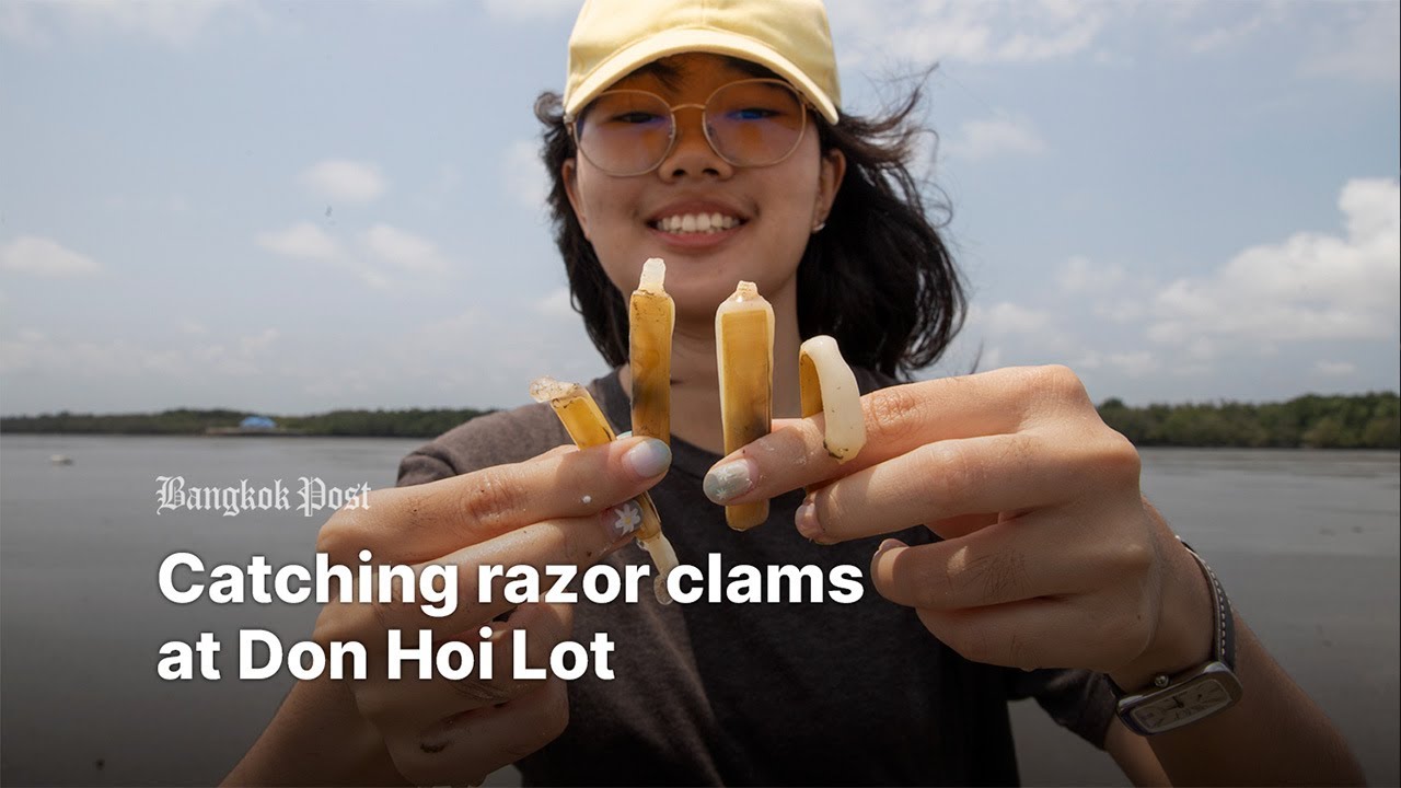 Catching razor clams at Don Hoi Lot - YouTube