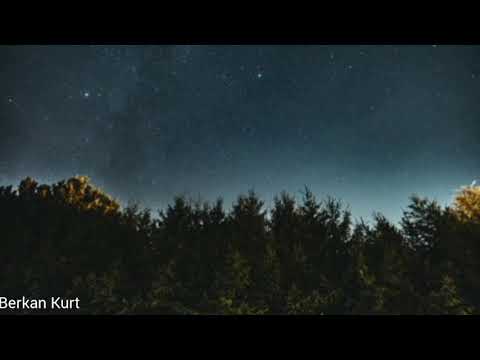Can Bonomo - Dem (Lyrics)