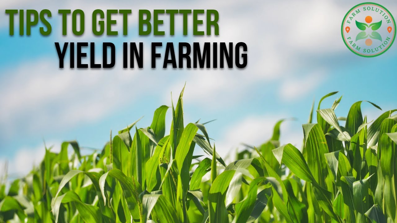 Tips to get better yield in farming || खेती में बेहतर यील्ड प्राप्त ...