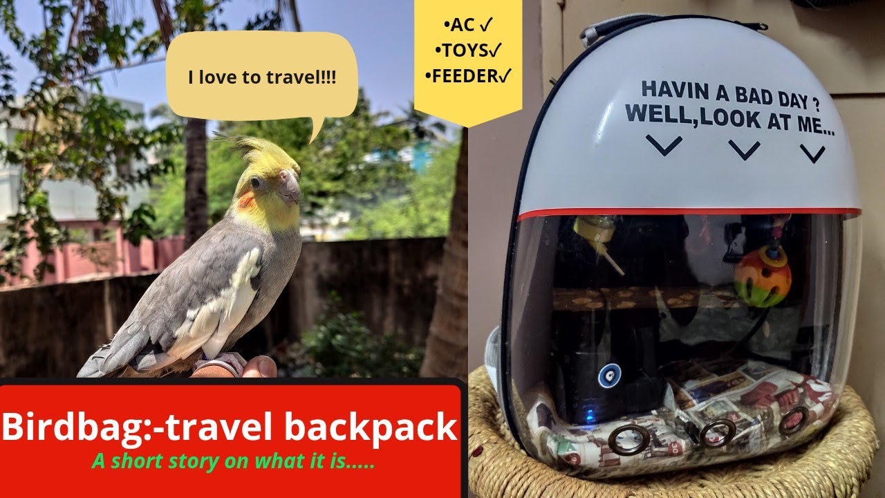 BIRD BAG-Travel backpack for your pet bird(AC,TOYS AND MUCH MORE!!!) # ...
