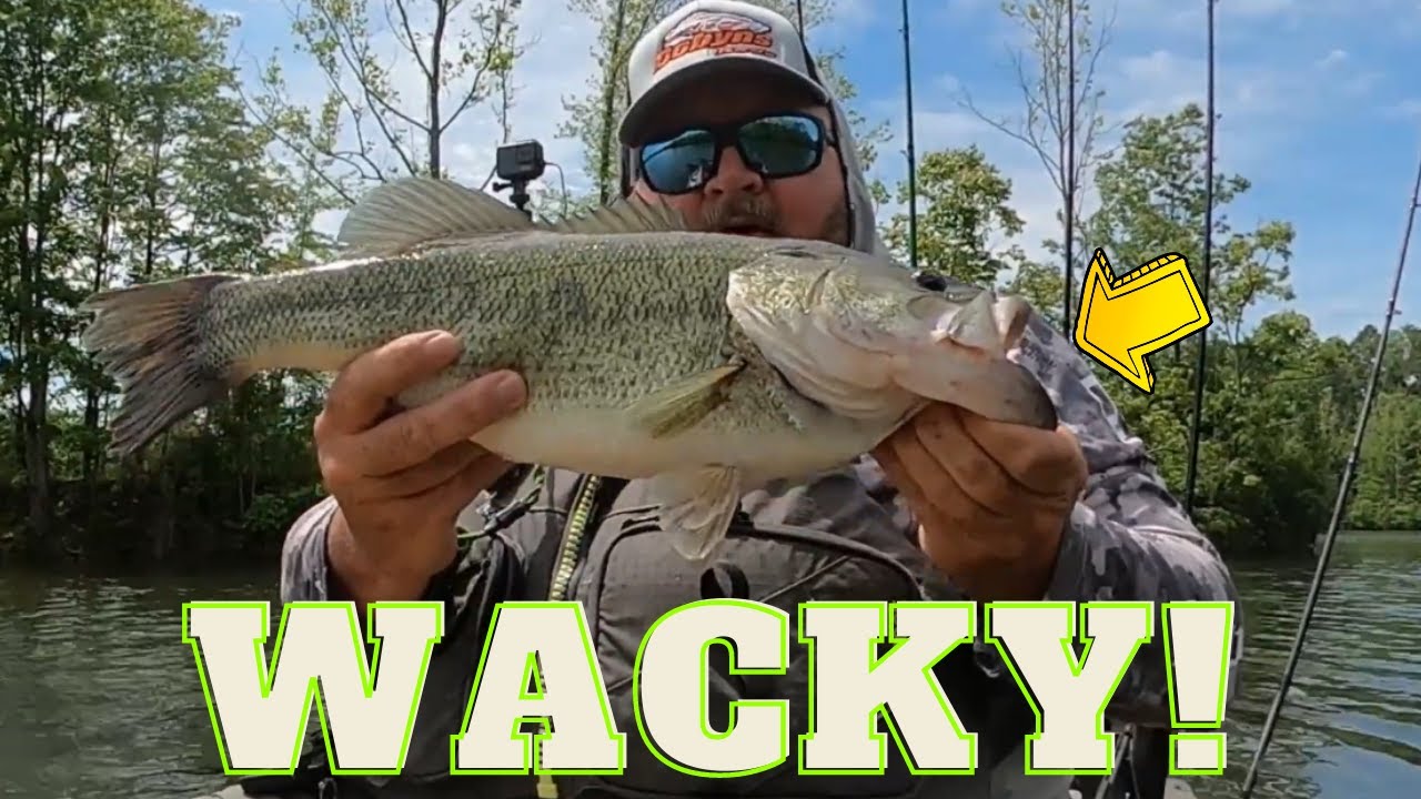 WACKY RIG (Summertime secret to big bass SUCCESS!) - YouTube