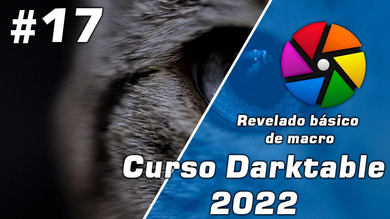 Curso Darktable 4.0.0 GRATIS | #17 Revelado básico de Macro - YouTube