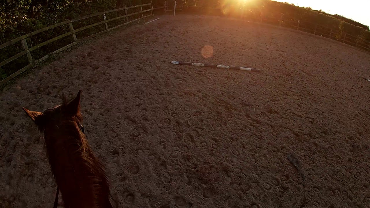 Ride with me - Short Basic flatwork session (GoPro Hero 7) - YouTube