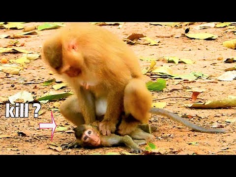 Shock | mom Rose horrible torture baby Quinton nearly coma but no mom help | where is mom Queen ?