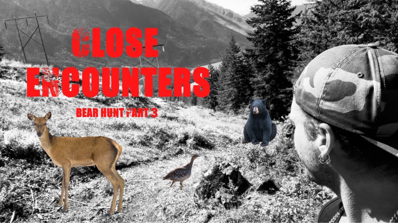 Deer and Bear Close Encounters | Beautiful British Columbia | Bear Hunt ...