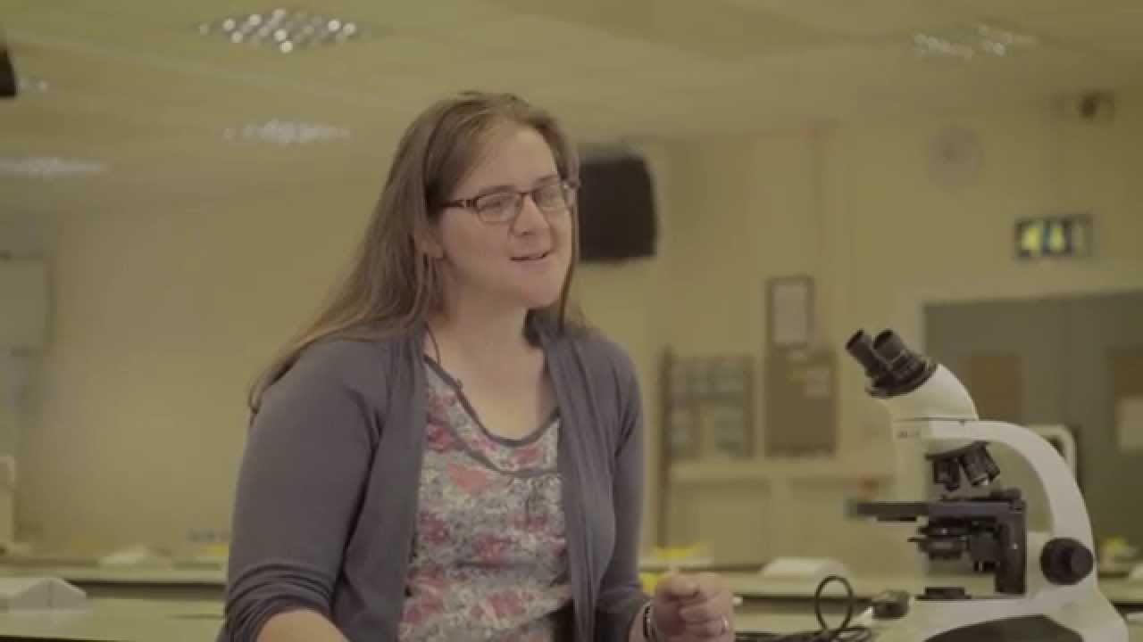 Brewer's Yeast in Beer Making, with Dr Hazel Davey - YouTube