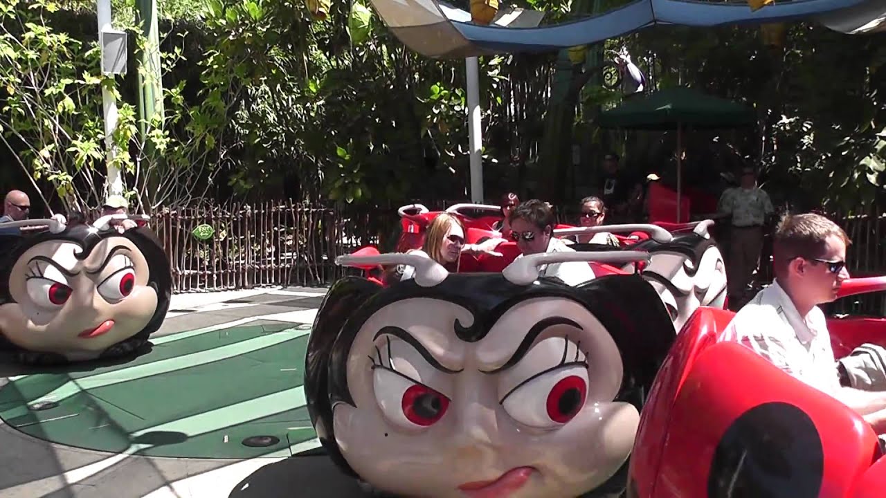 Ladybug ride Disneyland - YouTube
