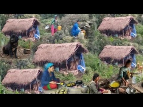 The Best Lifestyle in Himilayans Village During Rainy days ll All seasons best Complection video ll