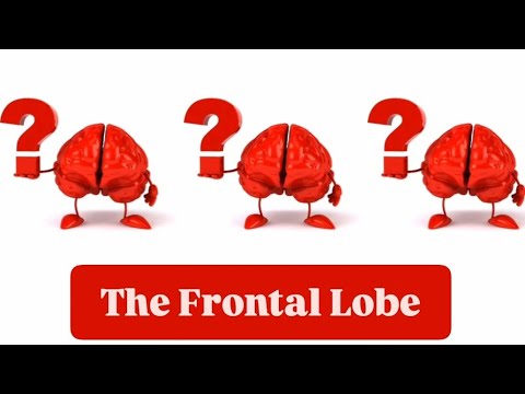 Morning Mental Workout ~ The Frontal Lobe - YouTube